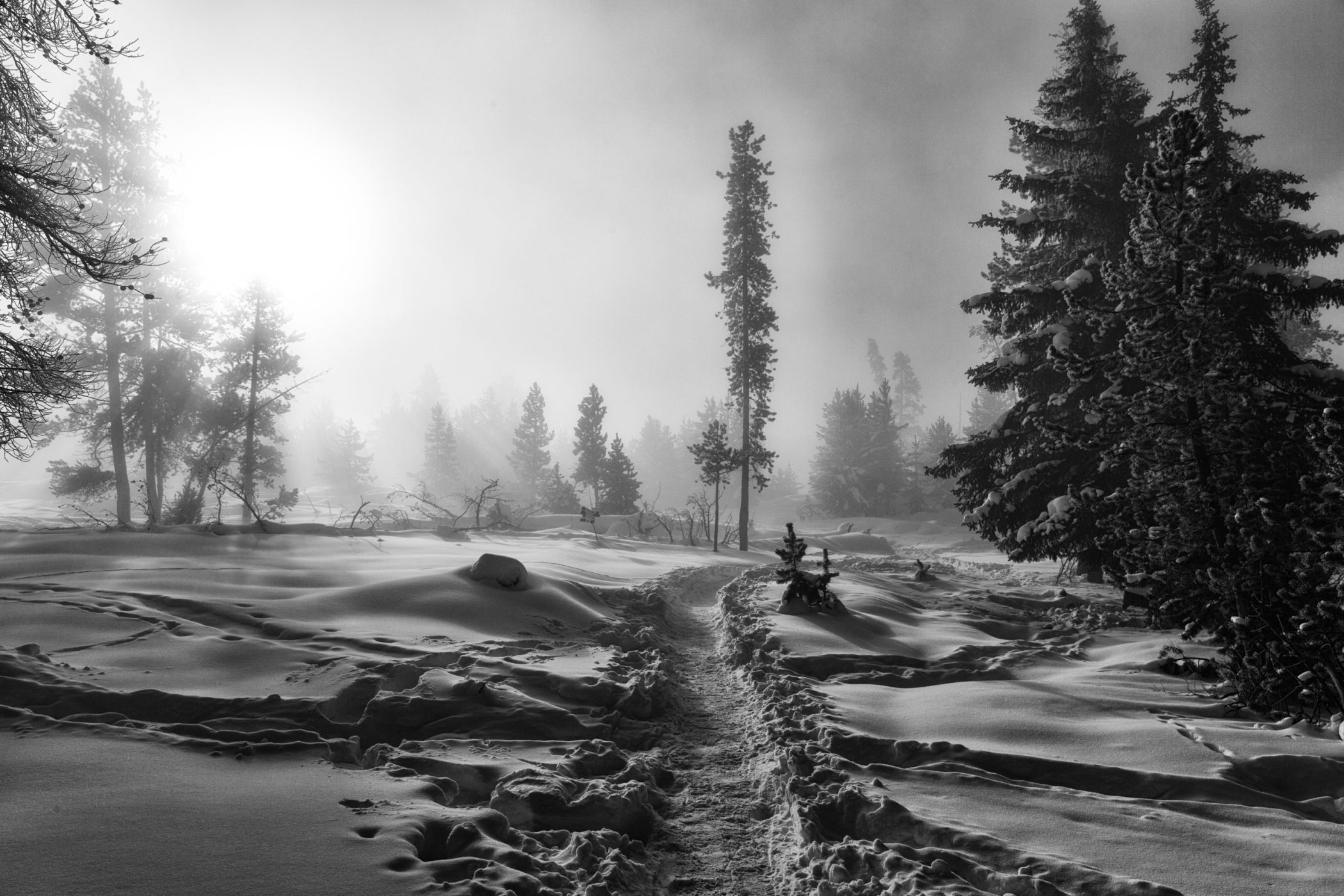 Cody Lodging | Gary Fales Outfitting